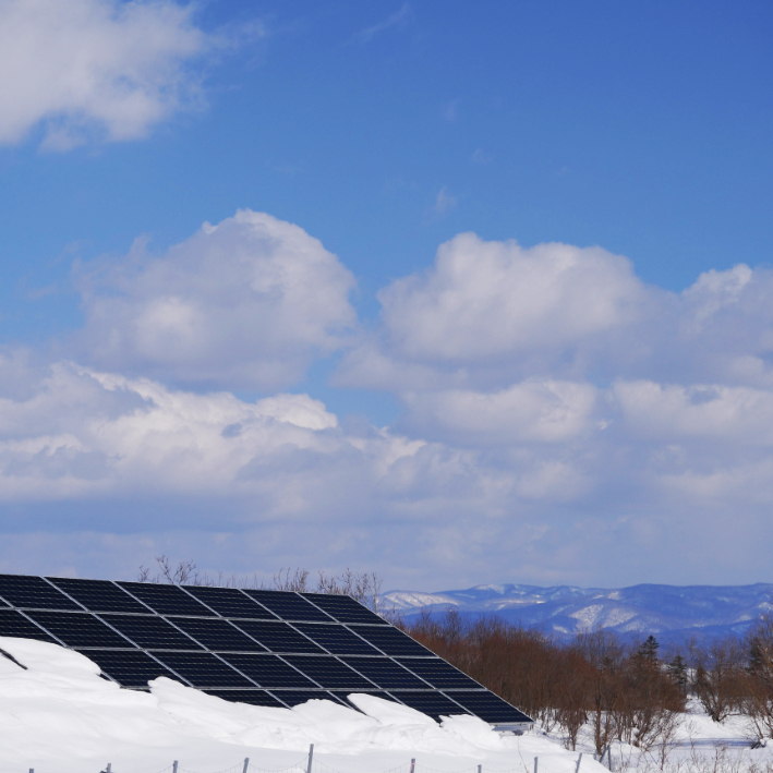 株式会社メイプルパワー Maple Power
